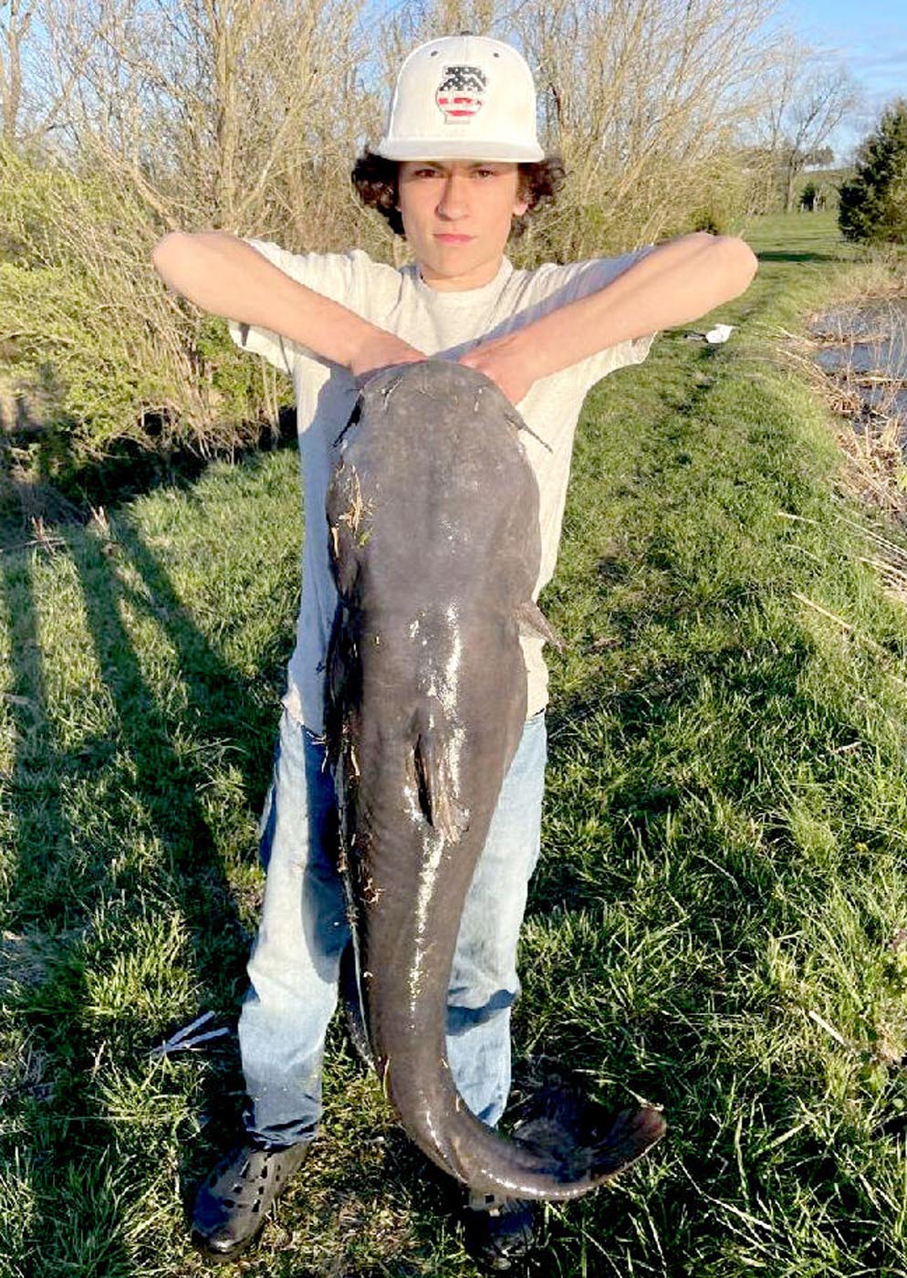 PHOTO: Monster catfish caught … and released | State-Journal
