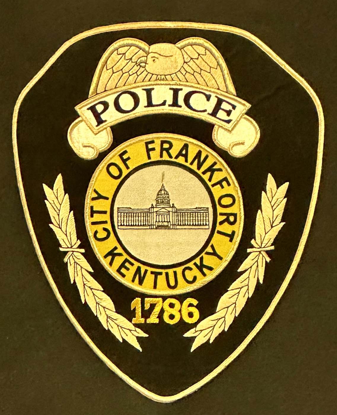 KKK propaganda found littering parts of city, police say | State-Journal