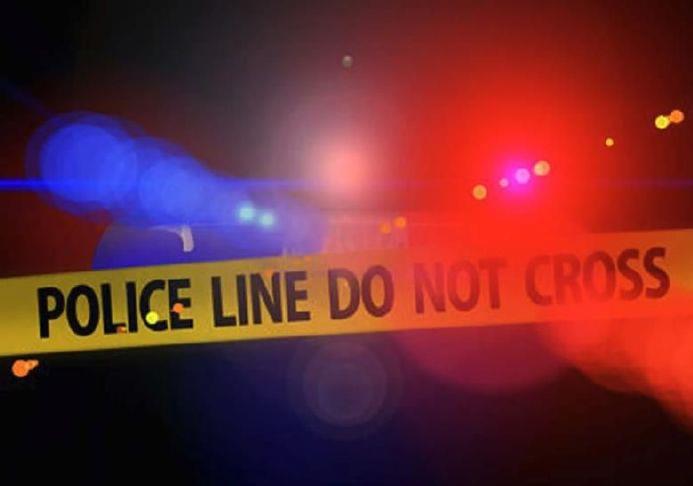 FPD: Woman spit on, kicked officers | State-Journal