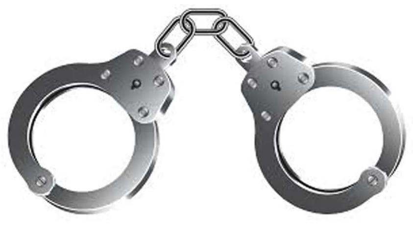 FPD: Driver went wrong way on connector, fled police | State-Journal